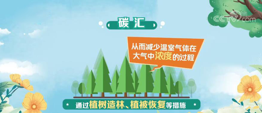 一文解析农林碳汇开发和交易